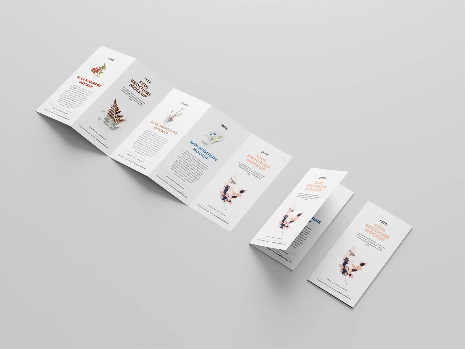 Accordion Fold Brochure Template Free