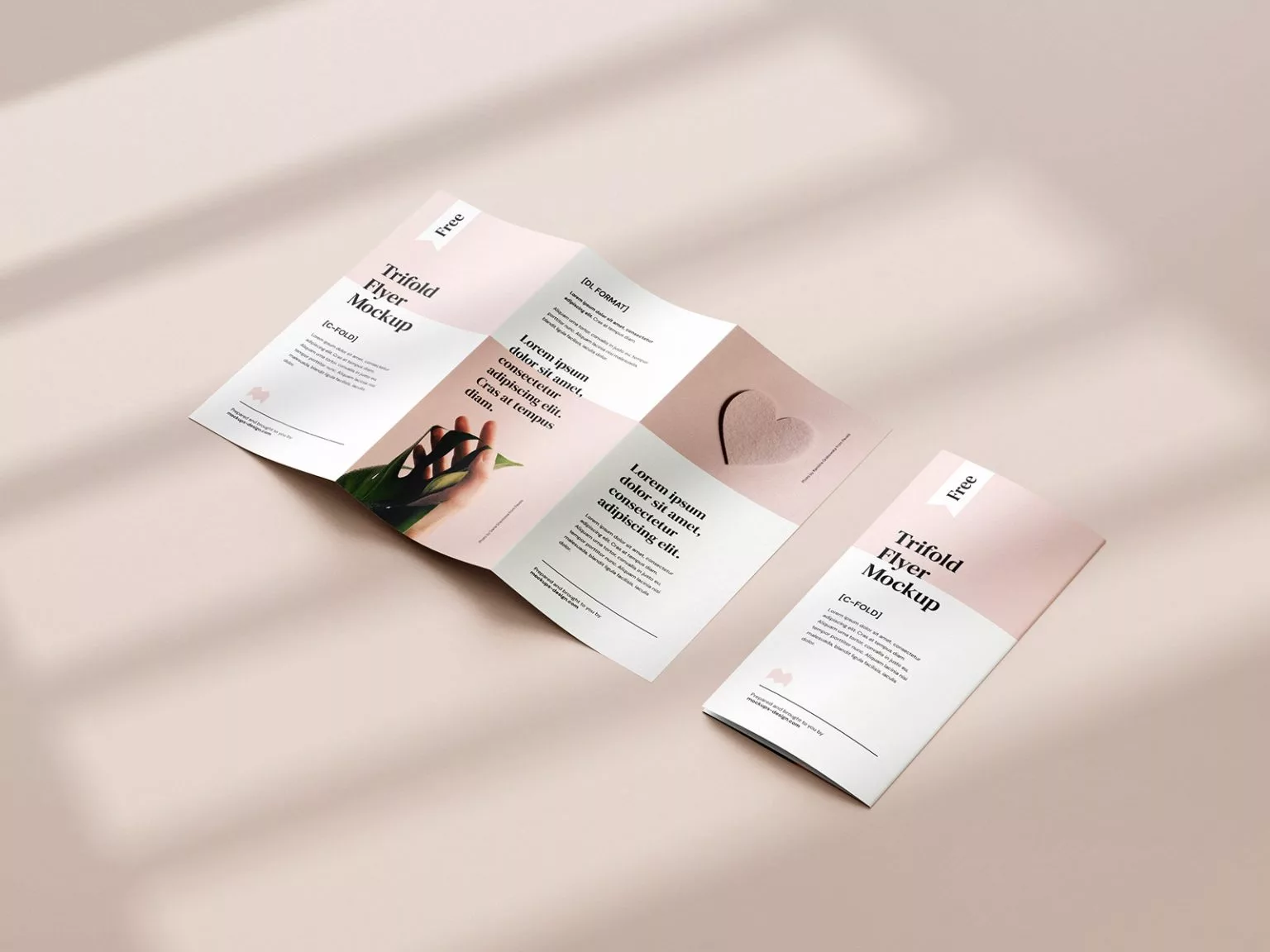 Tri-Fold DL Flyer Mockup | The Free Mockup