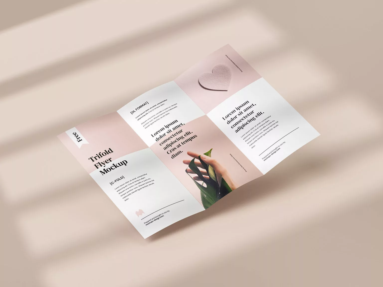 Tri-Fold DL Flyer Mockup | The Free Mockup