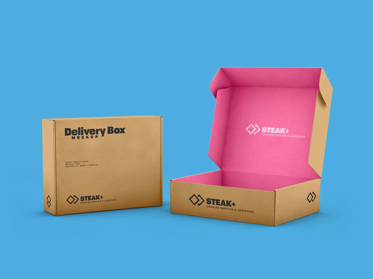 Delivery Mockup