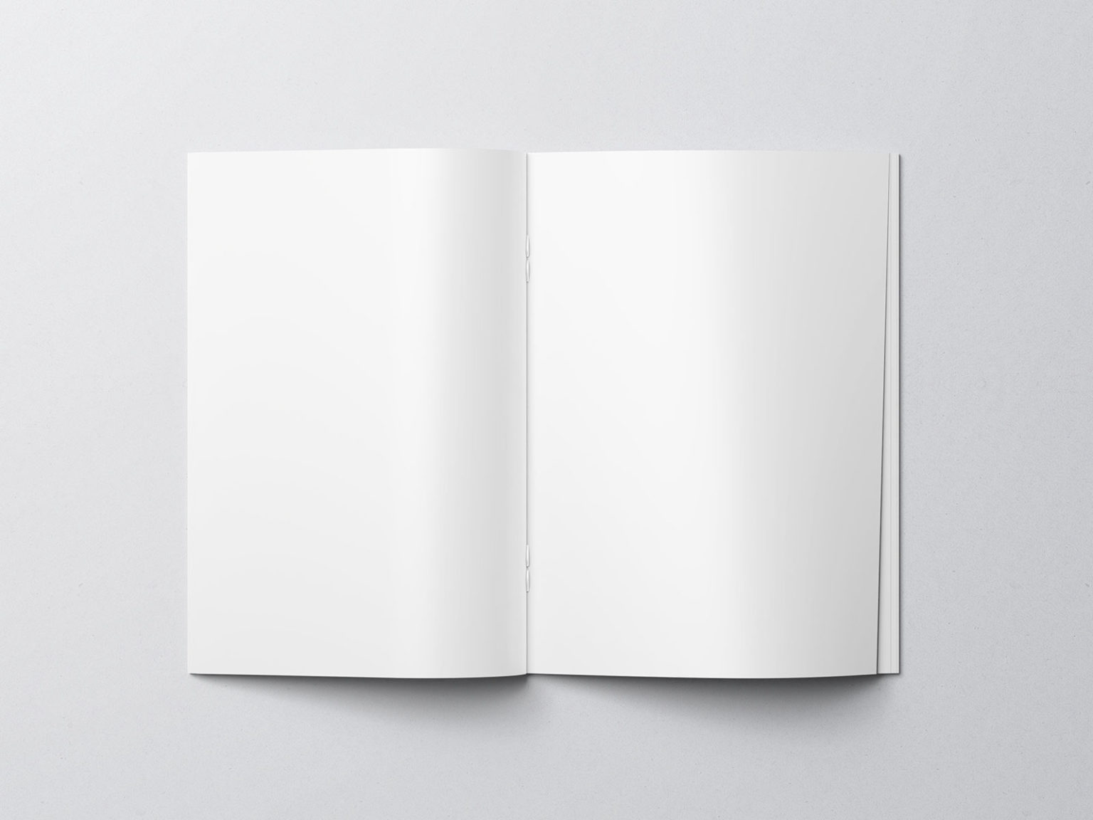 Magazine/Catalog Pages Mockup | Free Mockup