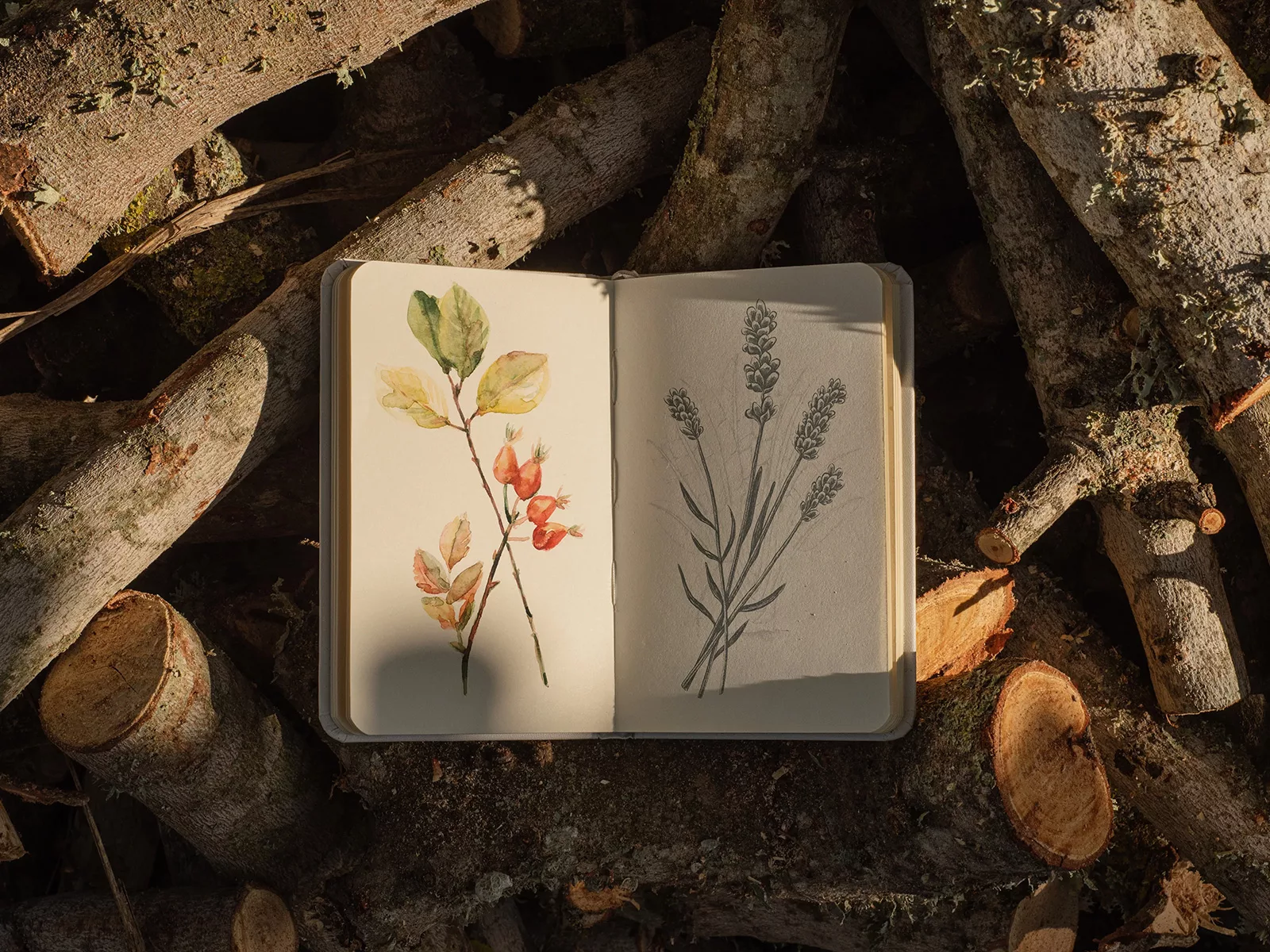 Free Sketchbook | The Free Mockup