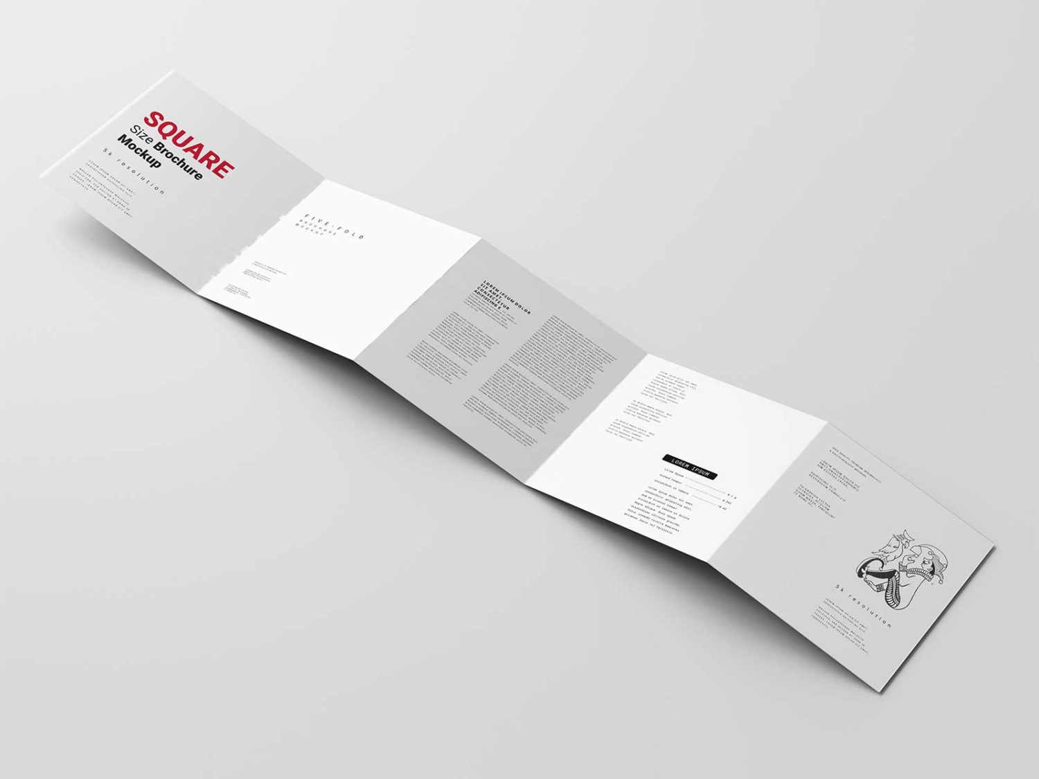 Five-Fold Square Brochure Mockups | Free Mockup