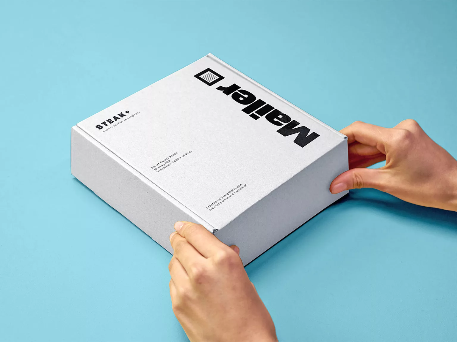 Pinch Lock Shipping Box Mockup | The Free Mockup