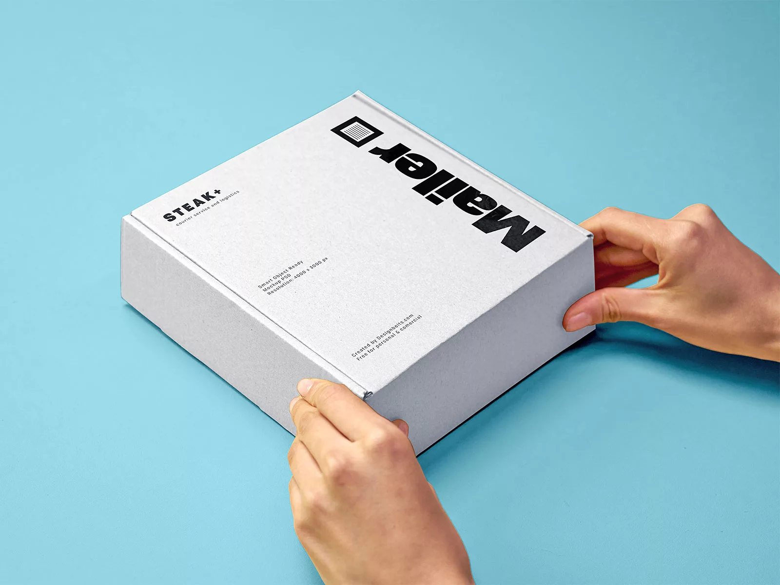 Pinch Lock Shipping Box Mockup | The Free Mockup