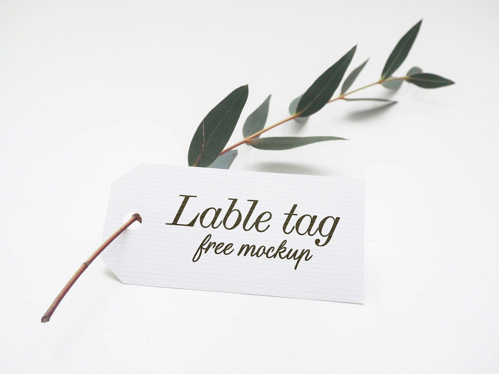 Free Tag Mockups | Free Mockup